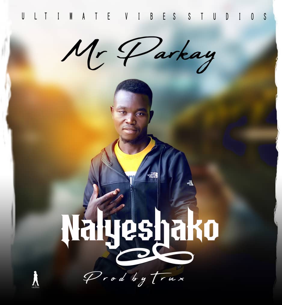 Mr Parkay - Nalyeshako Prod By T Rux - Zambian Music Blog